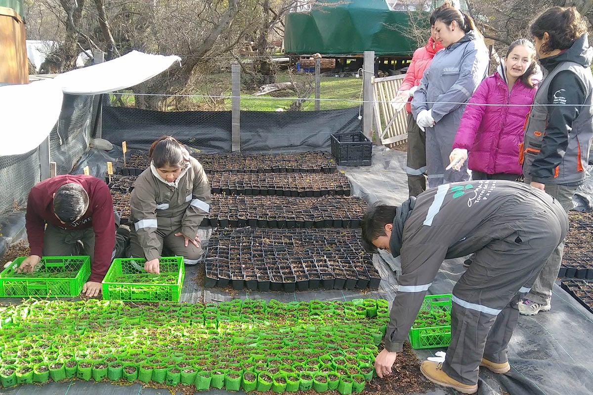 Environmental Non-Profits: A Circle of Helping Virtuously