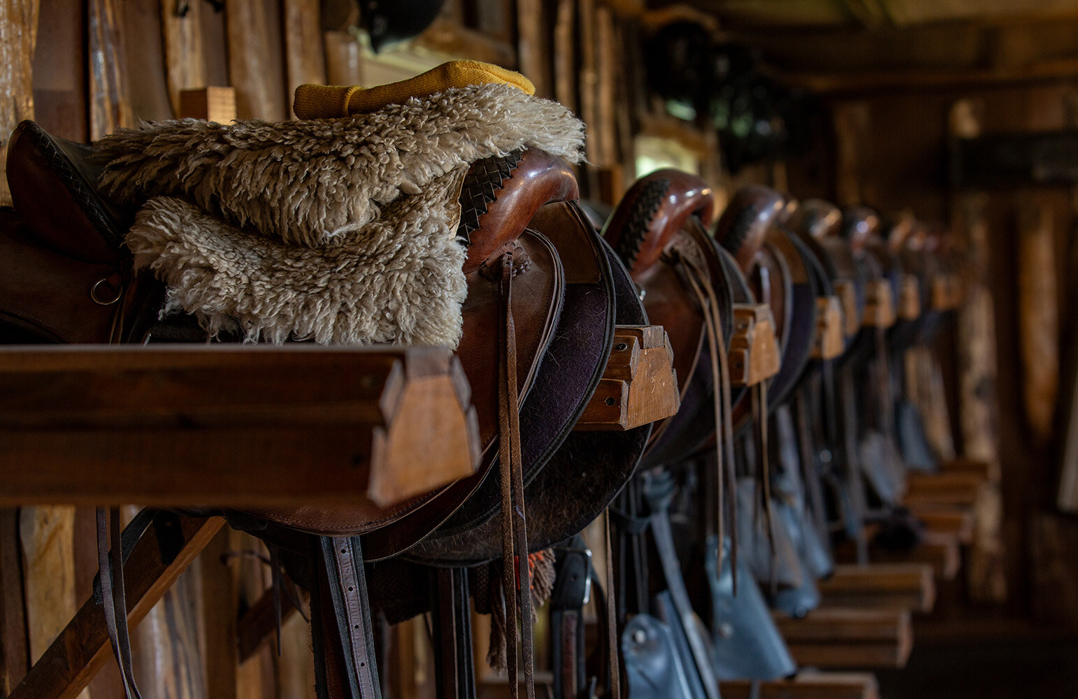 International Women's Day: Diana, the baqueana who challenged her ...